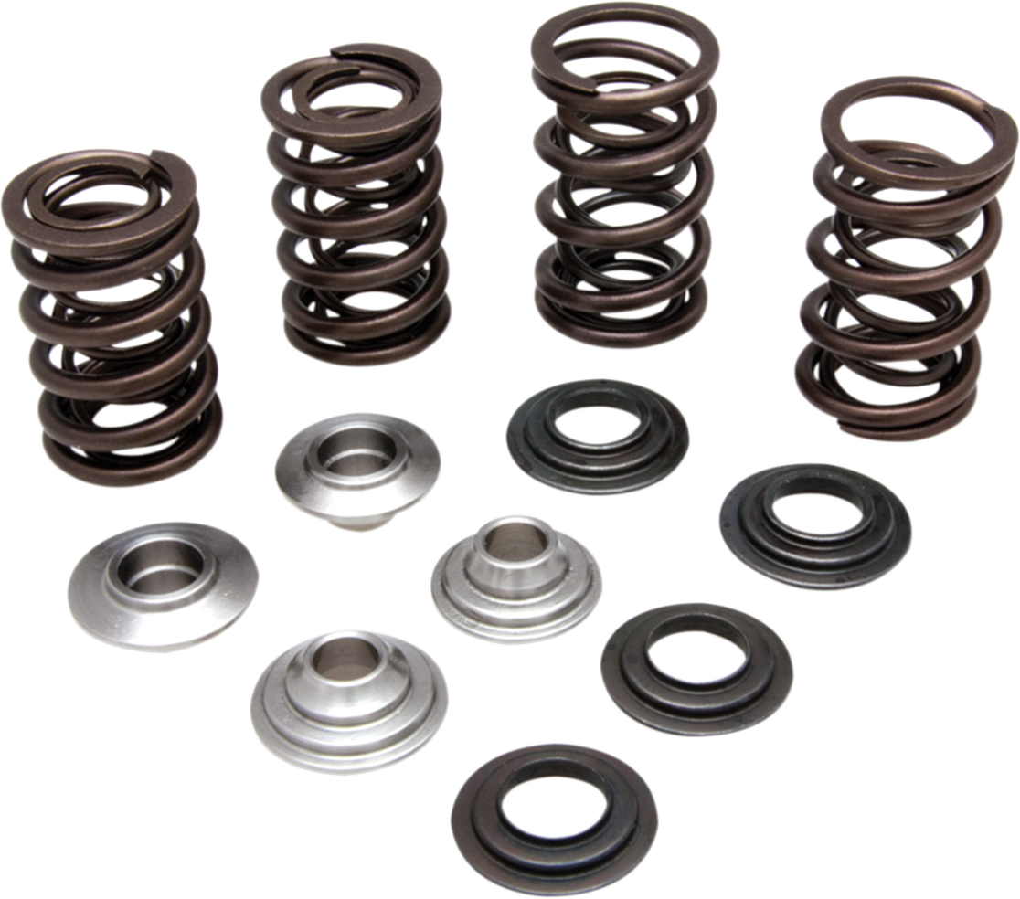 Valve Spring Kit – Ruta 70